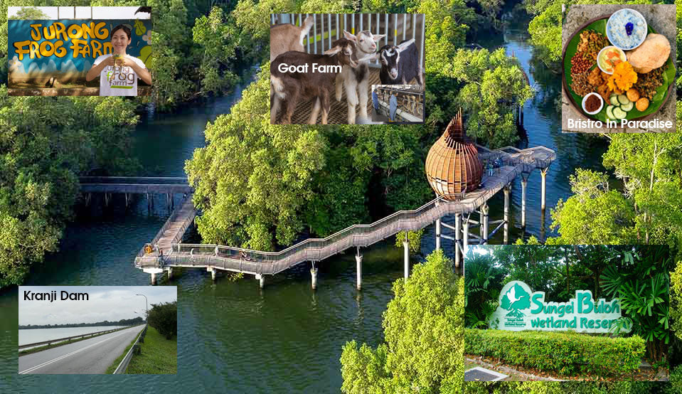 Kranji Countryside Tour with Farm Cafe Lunch and visit to various attr ...